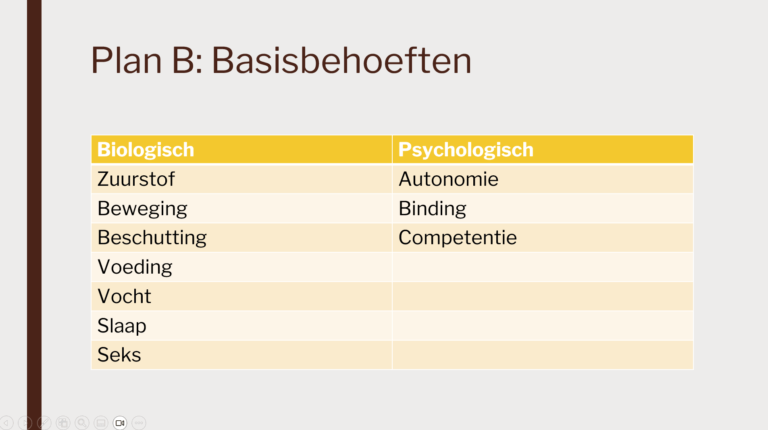Bewaak je basisbehoeften - RAYU